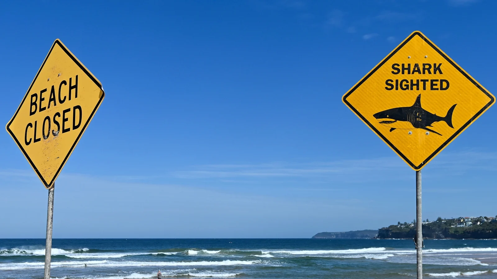 Sydney surfer mauled by shark — third coastal attack in two days ...