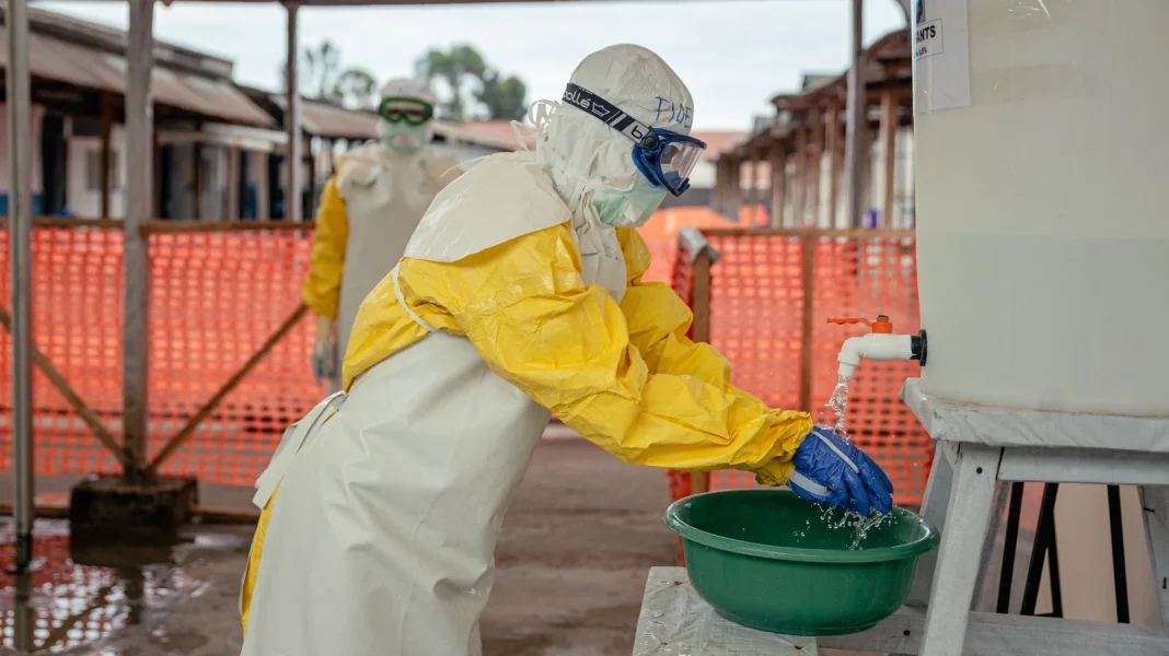 WHO Director-General: Steady progress reported in containing the Ebola ...